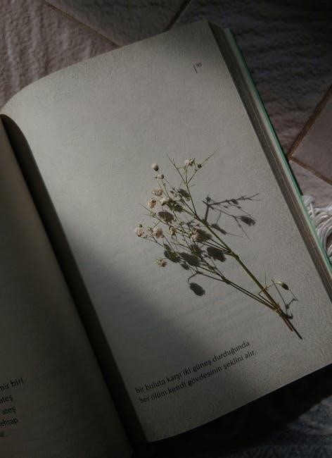 Download Avancemos 1 Book PDF | Free Spanish Learning Guide